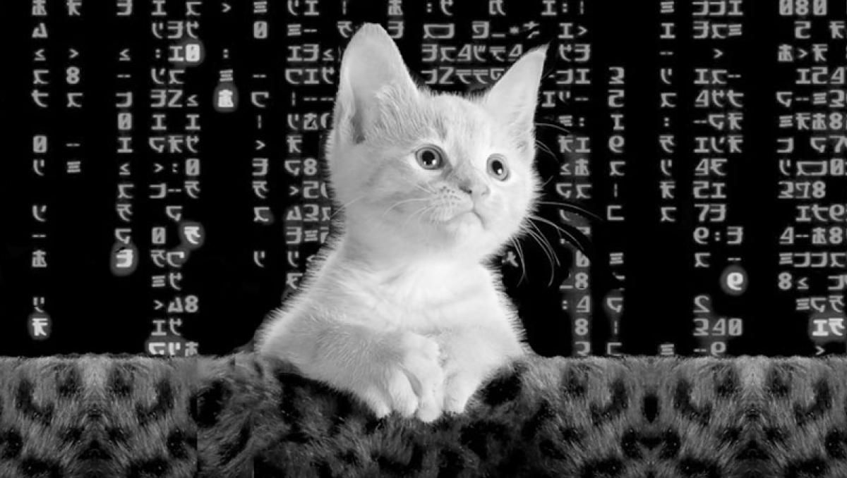 Charming Kitten targets critical infrastructure in US and elsewhere with BellaCiao malware ...