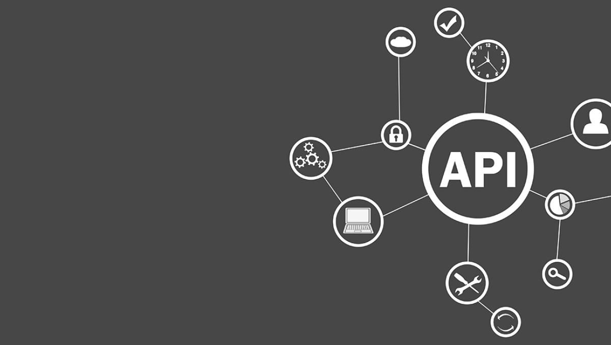 Why the OWASP API Security Top 10 is Essential for Every Business ...