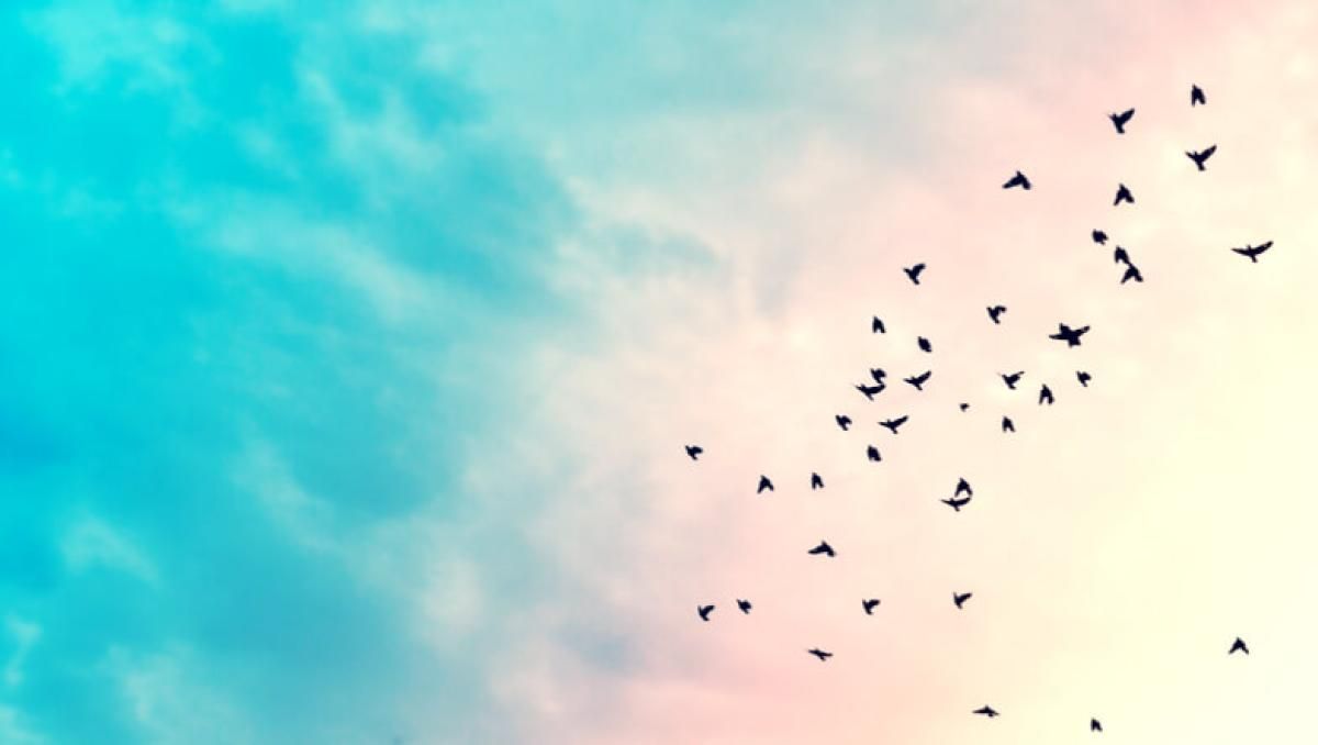 Security Considerations for Cloud Migration | Tripwire