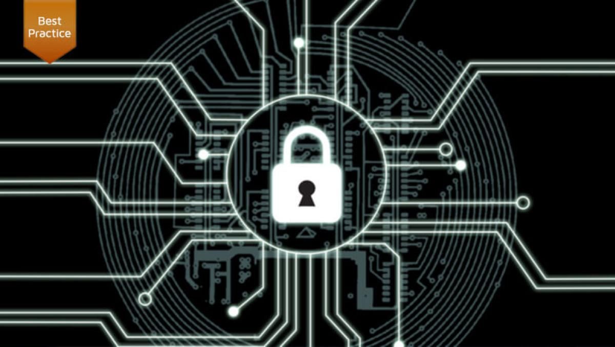 Vulnerability Management Program Best Practices | Tripwire