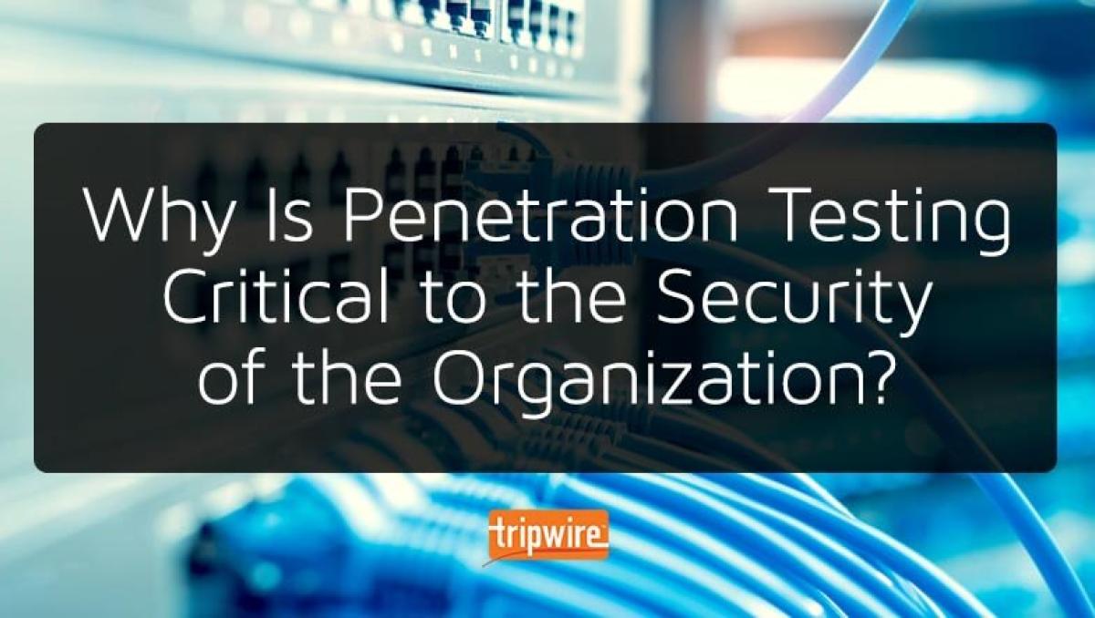 Why Is Penetration Testing Critical to the Security of the Organization ...