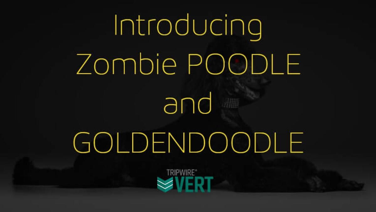 Introducing Zombie POODLE and GOLDENDOODLE | Tripwire