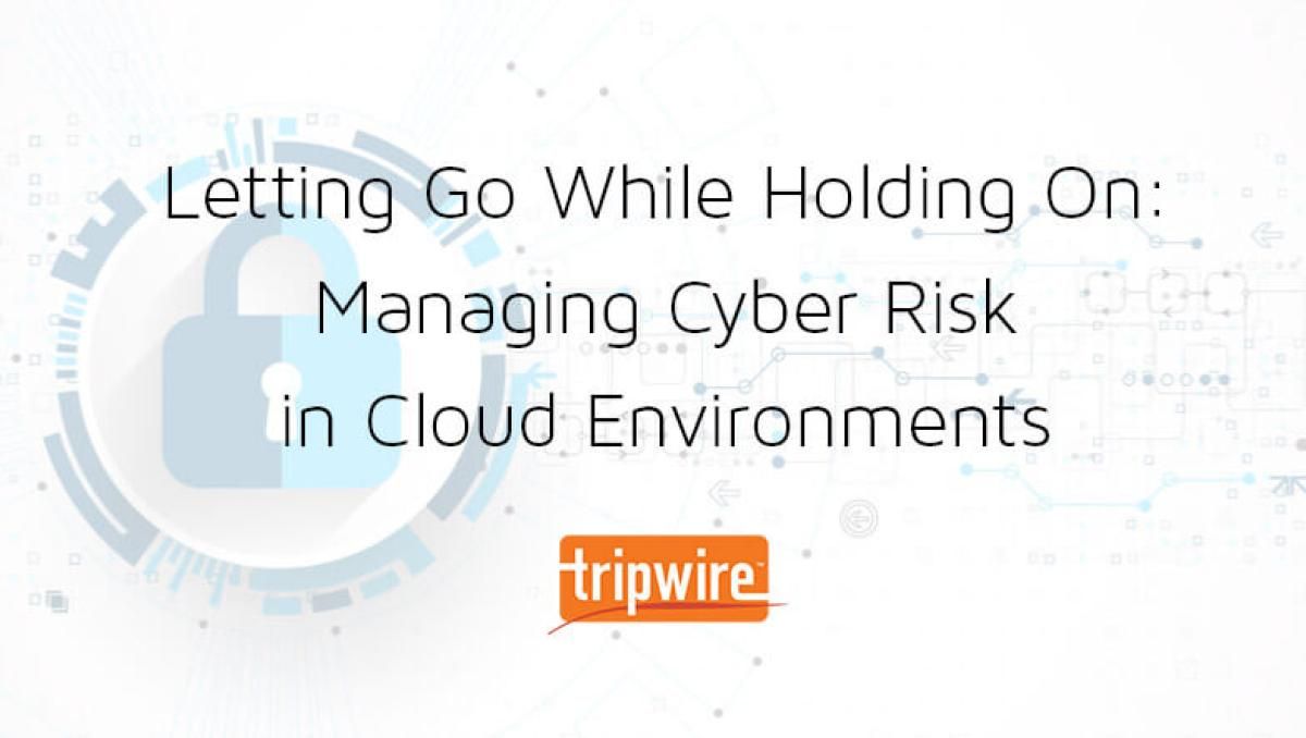 Letting Go While Holding On: Managing Cyber Risk in Cloud Environments ...