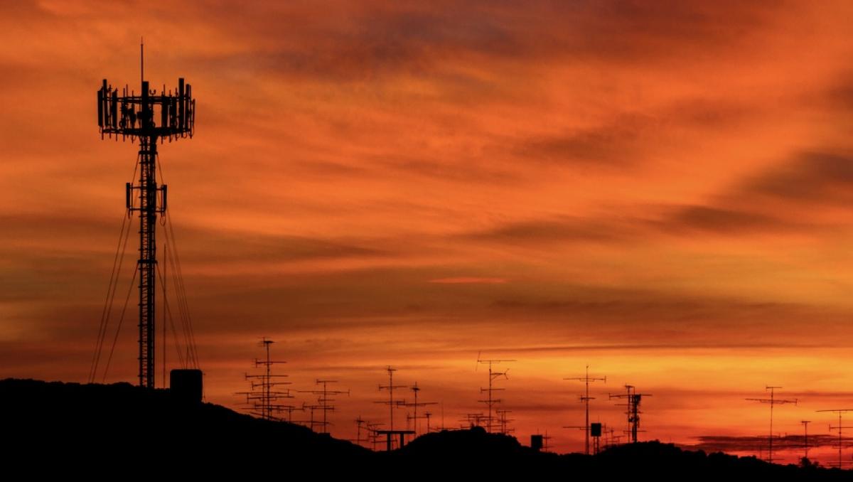 Catching Stingrays at BSides Canberra | Tripwire