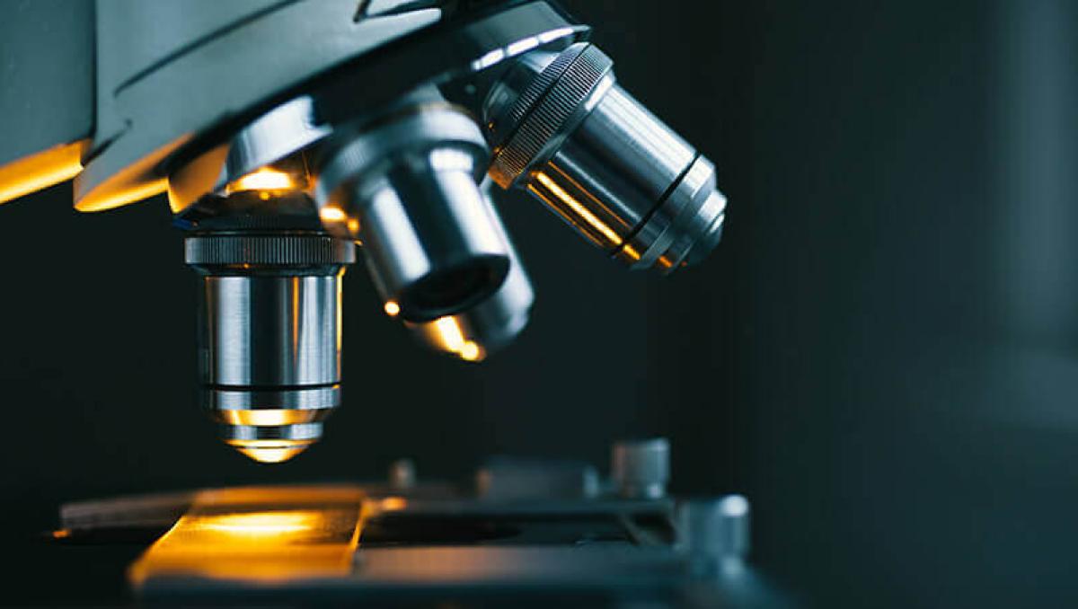Hacking Christmas Gifts: Putting IoT Under the Microscope | Tripwire