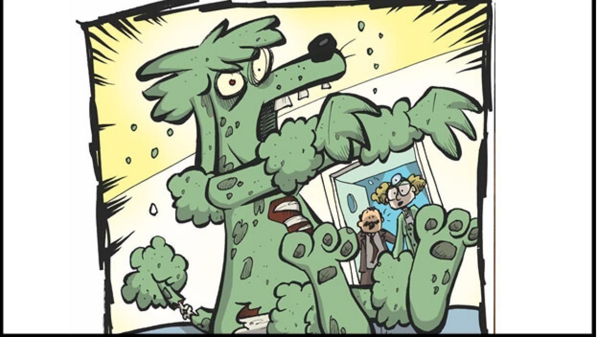 What is Zombie POODLE? | Tripwire